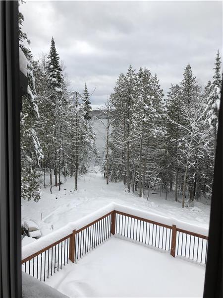 Blue Pelican, waterfront- lake - Entrelacs Cottage Rental | DI-27358 ...