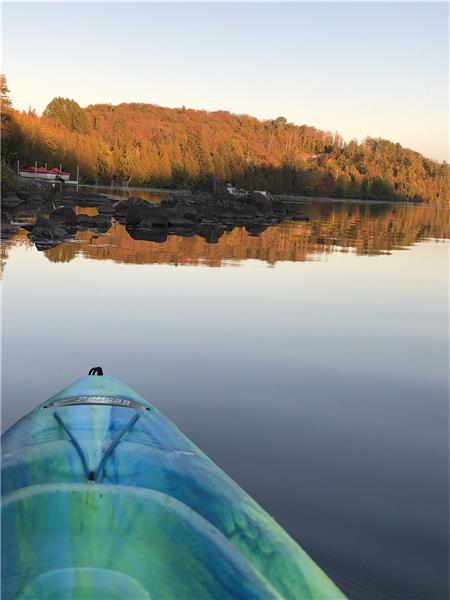 Blue Pelican, waterfront- lake - Entrelacs Cottage Rental | DI-27358 ...