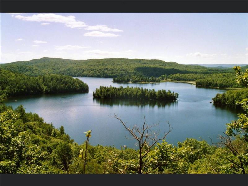 Lac et forêt - construction neuve - Chalet à louer La Pêche | OR-31411 ...