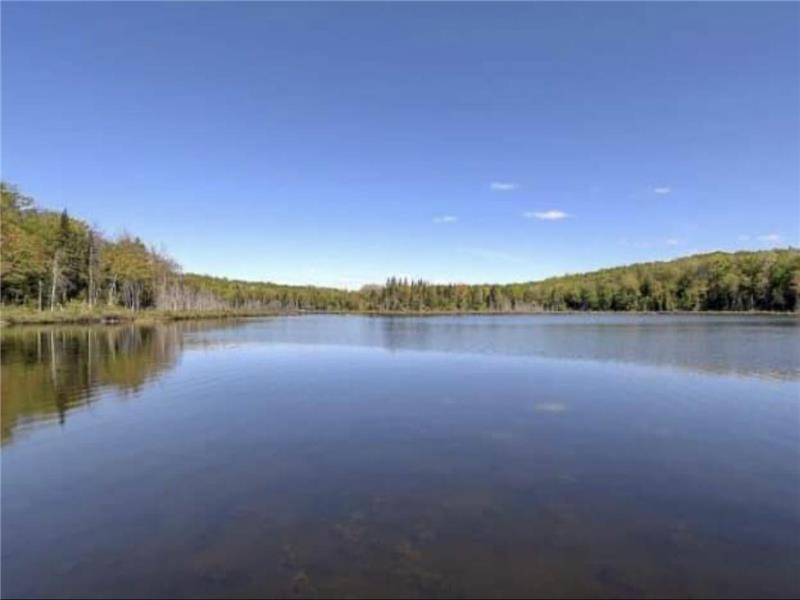 Le Convivial de Saint-Calixte - Chalet à louer St-Calixte | DI-36413 ...