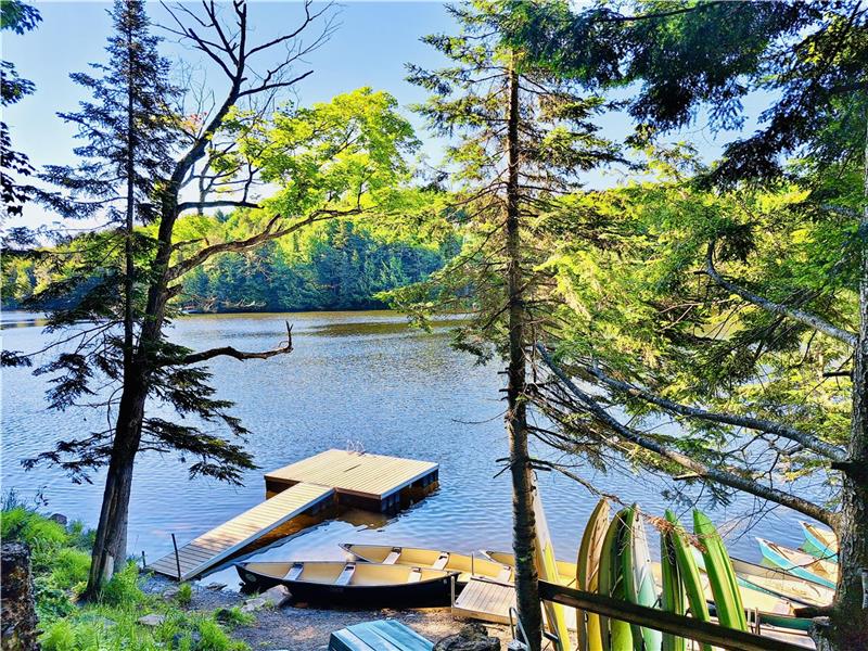 VIKING58/SPA/SAUNA/PISCINE - Chalet à louer Mille-Isles | DI-40746 ...