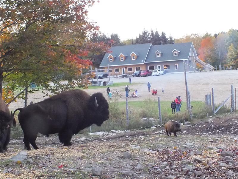 Le Wood Lodge du Ranch d'Amérique - Chalet à louer Lac-des-Plages | OR ...
